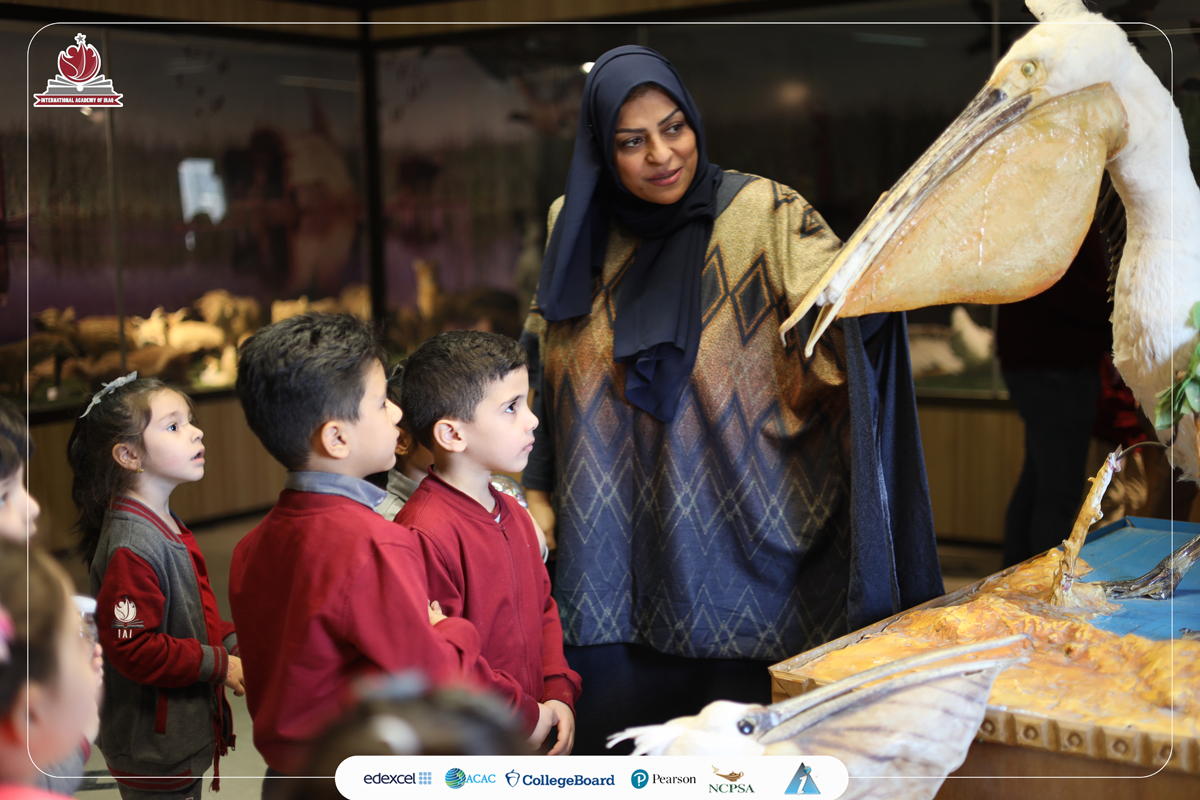 Home - international academy of iraq